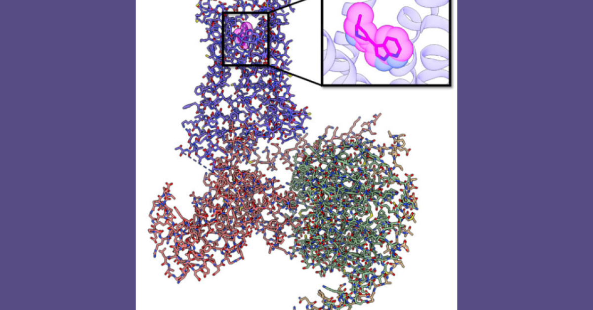 Scientists Create Non-Psychedelic Compound with Same Anti-depressant ...
